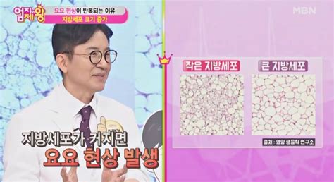 체지방 잡는 다이어트 유산균 Ky1032 Hy7601 효능