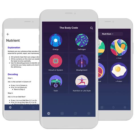 What Is The Body Code