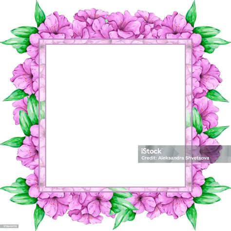 손으로 그린 수채화 보라색 진달래 프레임 테두리가 흰색 배경에 분리되어 있다 초대장 엽서 포스터 장식 및 기타 인쇄물에 사용할