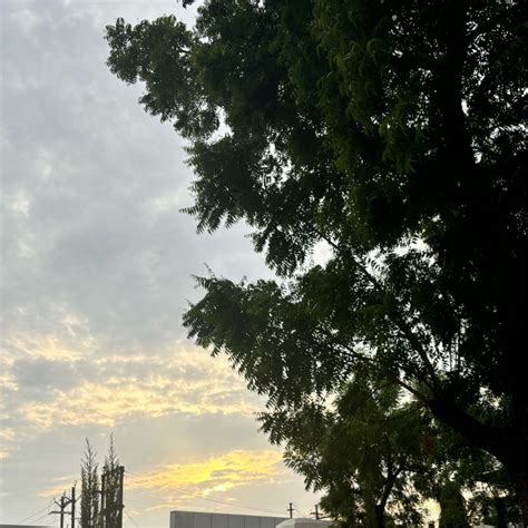 Bhavya Singh On Linkedin Therapythroughwriting Emotionalcalmthroughwords Writing Linkedin