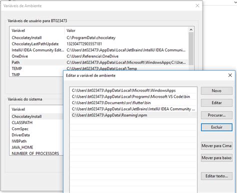 I Not Able To Complete The Process Of Flutter Doctor Access Denied