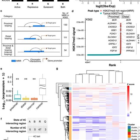 Pdf H3k27me3 Rich Genomic Regions Can Function As Silencers To Repress Gene Expression Via