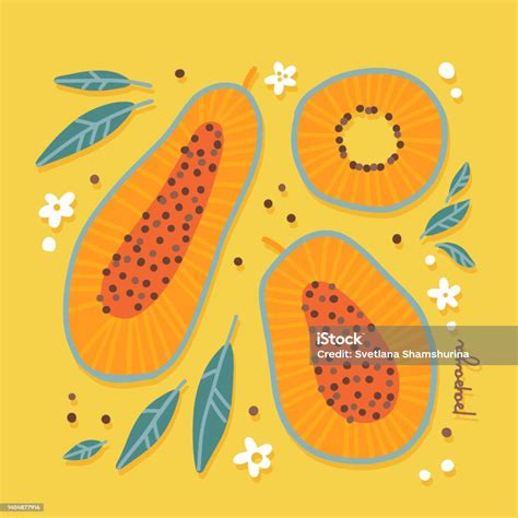 녹색 파파야 세트 얇게 썬 조각 열대 채식주의 자 발톱은 꽃 장식 꽃 및 씨앗이있는 벡터 만화 플랫 스타일로 음식에 대한 스톡 벡터 아트 및 기타 이미지 Istock