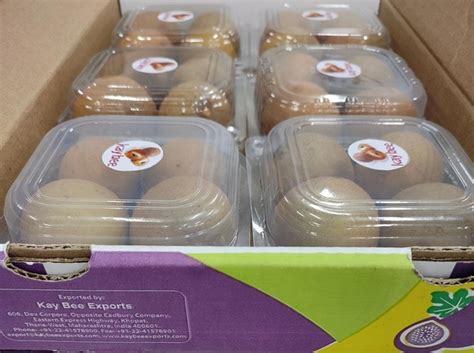 “chikoo Is An Ideal Fruit For Export To European Countries”