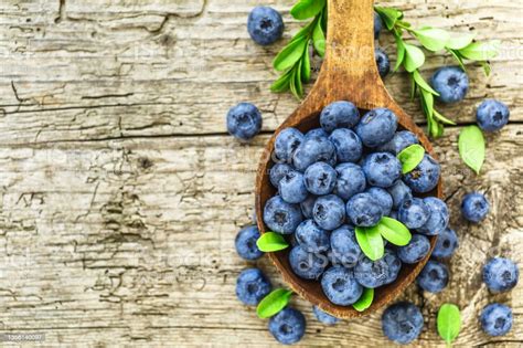 텍스트에 대한 복사 공간이있는 신선한 블루 베리 배경 건강한 식생활과 영양을 위한 그릇 컨셉의 블루베리 항산화 유기농 슈퍼푸드 0명에 대한 스톡 사진 및 기타 이미지