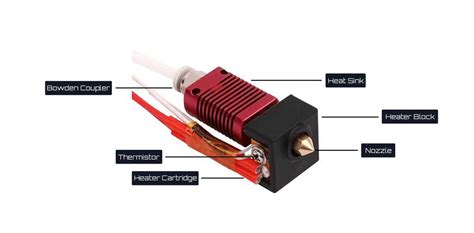 Ender 3 V2 Extruder Hot At Travis Day Blog