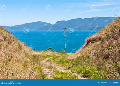 Grass Field With An Ocean And An Island In The Horizon Stock Image