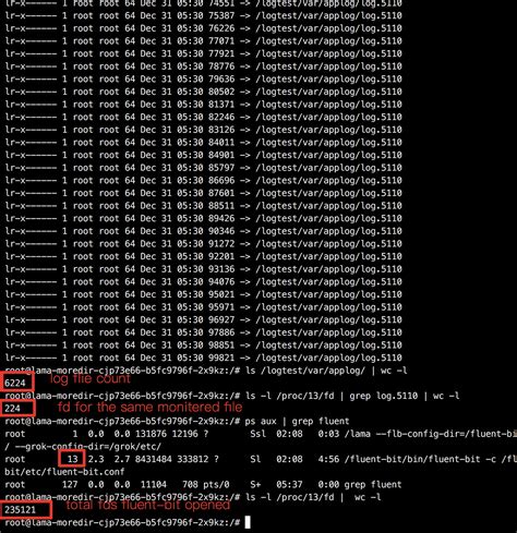 Fluent Bit Keeps Opening New Fd For A File When A Large Number Of Files Are Watched Issue