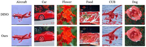 Patch Level Consistency Regularization In Self Supervised Transfer