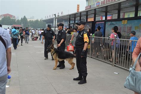 特种犬防