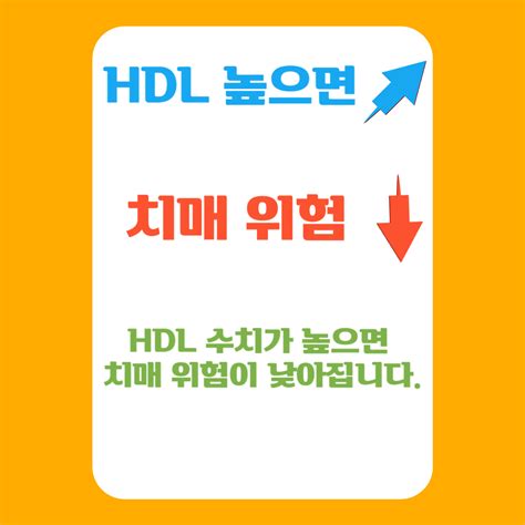 hdl 콜레스테롤 이란 [정상수치 높이는 방법 높이는 음식] 알아보기