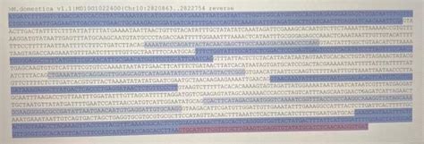 Solved You Are Asked To Amplify The Protein Coding Region Of