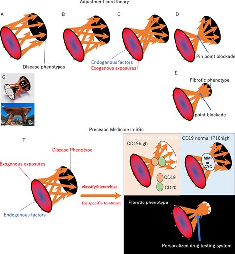 Frontiers Perspective To Precision Medicine In Scleroderma