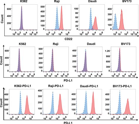Expressions Of Cd22 And Programmed Cell Death Ligand‐1 Pd‐l1 On