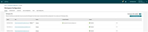 Store Configuration Citrix Workspace™ App For Mac