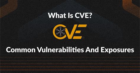 What Is A Cve Meaning And Common Vulnerabilities And Exposures In Security Vulners