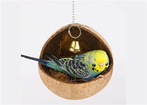 How To Make A Bird Nest With Coconut Shells 3 Thanh Cong Handicraft Export Coltd