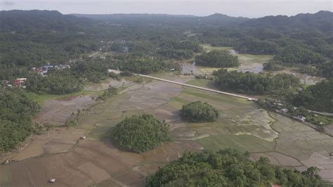 Asiangirlslowtease Videos Download The Best Free 4k Stock Video