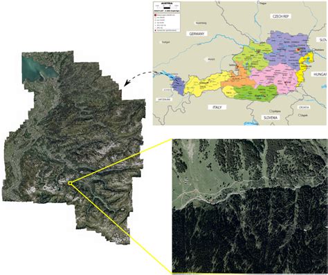 Assessment Of Wooded Area Reduction By Airborne Laser Scanning
