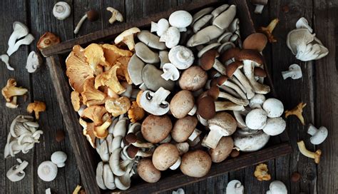 Setas Alimentos Nutritivos Y Beneficiosos Para La Salud