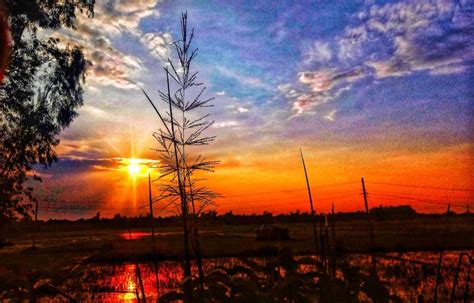 What Is The Biodiversity Net Gain Mitigation Hierarchy