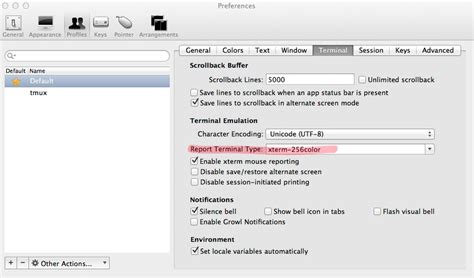 Iterm Ls Output Does Not Have Color While SSHing To Another Machine