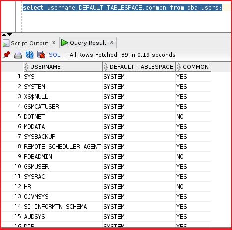 Cloning Pluggable Database In Oracle Dot Net Tutorials