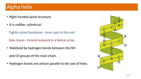 Protein Structure And Functions Pptx Pptx