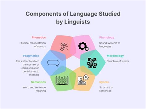 What Is A Linguist Speechneurolab