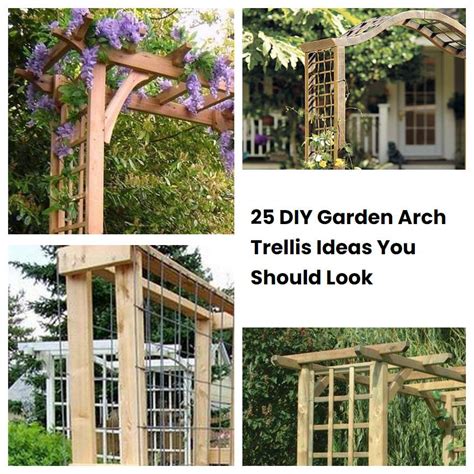 DIY Garden Arch Trellis Ideas You Should Look SharonSable