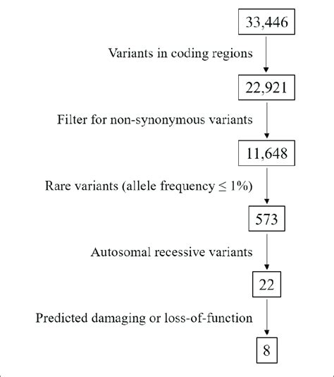 Flowchart Of Variant Filtering A Total Of 33446 Variants Were Found