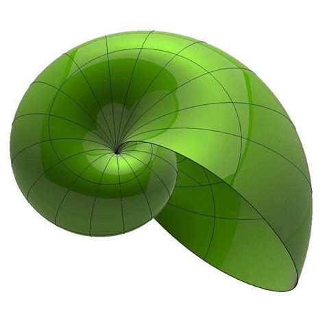 Mathematical 3d Surfaces