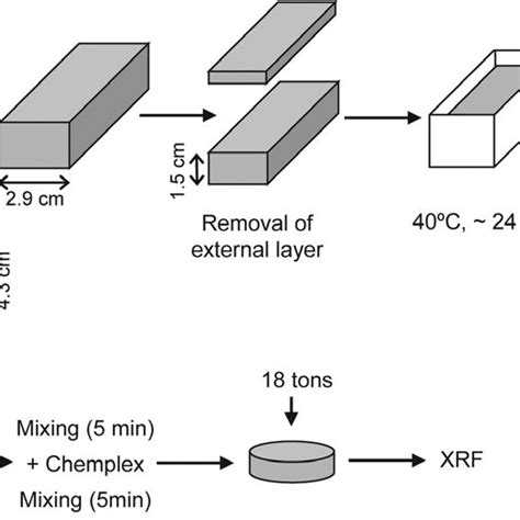 Schematized Sample Preparation Procedure For La Icp Ms Analysis Of Download Scientific Diagram