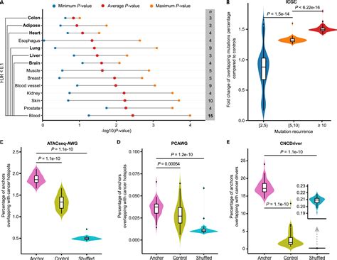 inferring ctcf binding patterns and anchored loops across human tissues