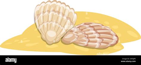 Two Seashells Lying On The Sand Bringing Back Memories Of Summer