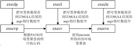 linux exec族函数解析 schips 博客园