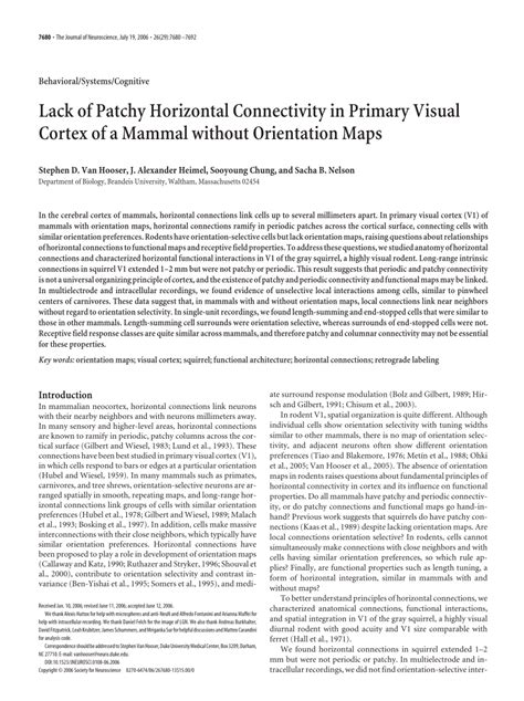 Pdf Lack Of Patchy Horizontal Connectivity In Primary Visual Cortex Of A Mammal Without