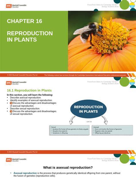 Mce Igcse Biology Ppt C16 Pdf Flowers Pollination