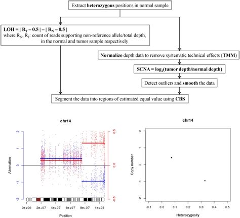 Somatic Copy Number And Heterozygosity Alteration Estimation Schale Download Scientific