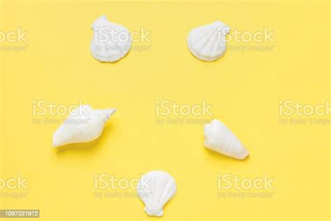 다른 모양 나선형 플랫 화이트 바다 조개 모래 노란색 바탕에 둥근 프레임에 배치 여름 비치 휴가 스파 웰빙 포스터 스 트리머 판매 배너 파티 초대장 서식 파일 0명에 대한