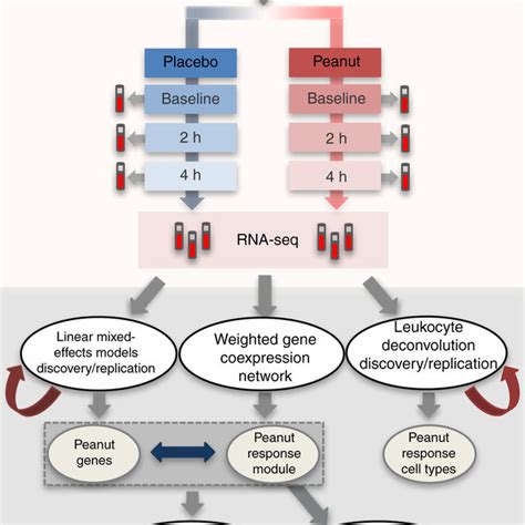 Overview Of Study Design And Analytical Flow Schematic Outlining The Download Scientific
