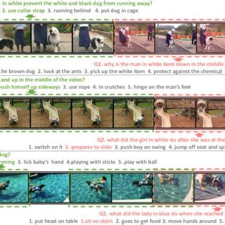 Visualization Of Discovered Grounding Rationale Each Row Comes With A Download Scientific