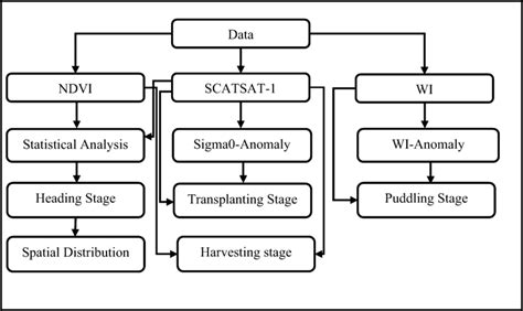 Detailed Methodology For The Estimation Of Paddy Crop Phenological