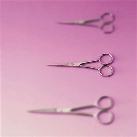 Dissecting Scissors 125mm School Science Equipment