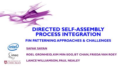 Pdf Directed Self Assembly Process Integration Fin Patterning