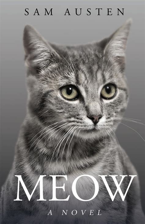 誠品暢銷外文書top3是meow書？「全書只寫meow」的小說爆紅，也許是因為療癒經濟