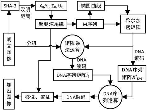 Hill Encryption And Dynamic Dna Coding Based Image Encryption Method