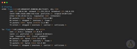 Ifconfig Vs Ip Difference And Comparing Network Configuration Trend Oceans