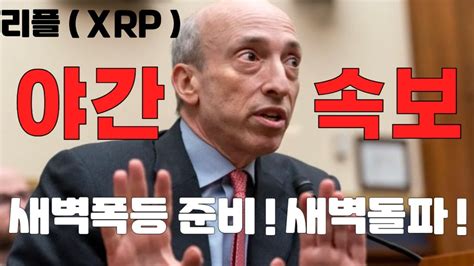 리플코인 야간속보 새벽폭등 준비 새벽돌파 불독코인프리세일코인시바이누코인리플이더리움도지코인코인단타사면가tv Youtube