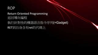 Noip2 Stack Buffer Overflow PPT